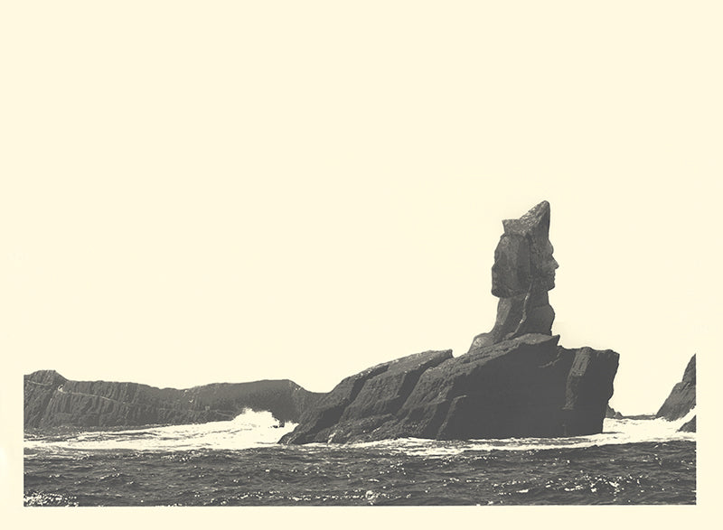 Colette Robbins: The Lookout – Kayrock Screenprinting